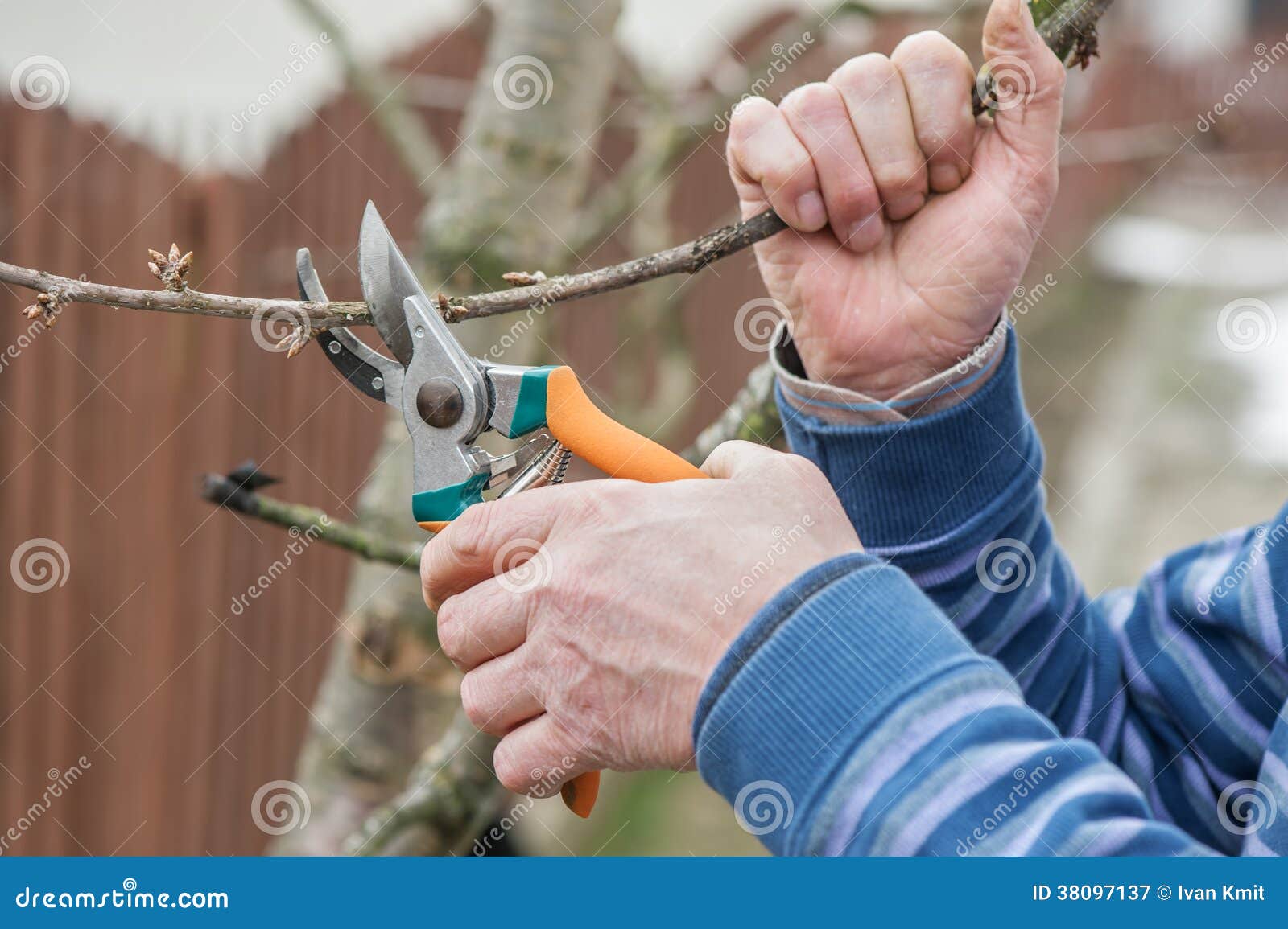 Gardening stock image. Image of garden, work, spring - 38097137