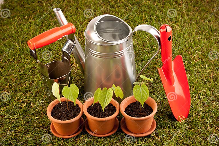 Gardening concept on grass stock photo. Image of galoshes - 14568000