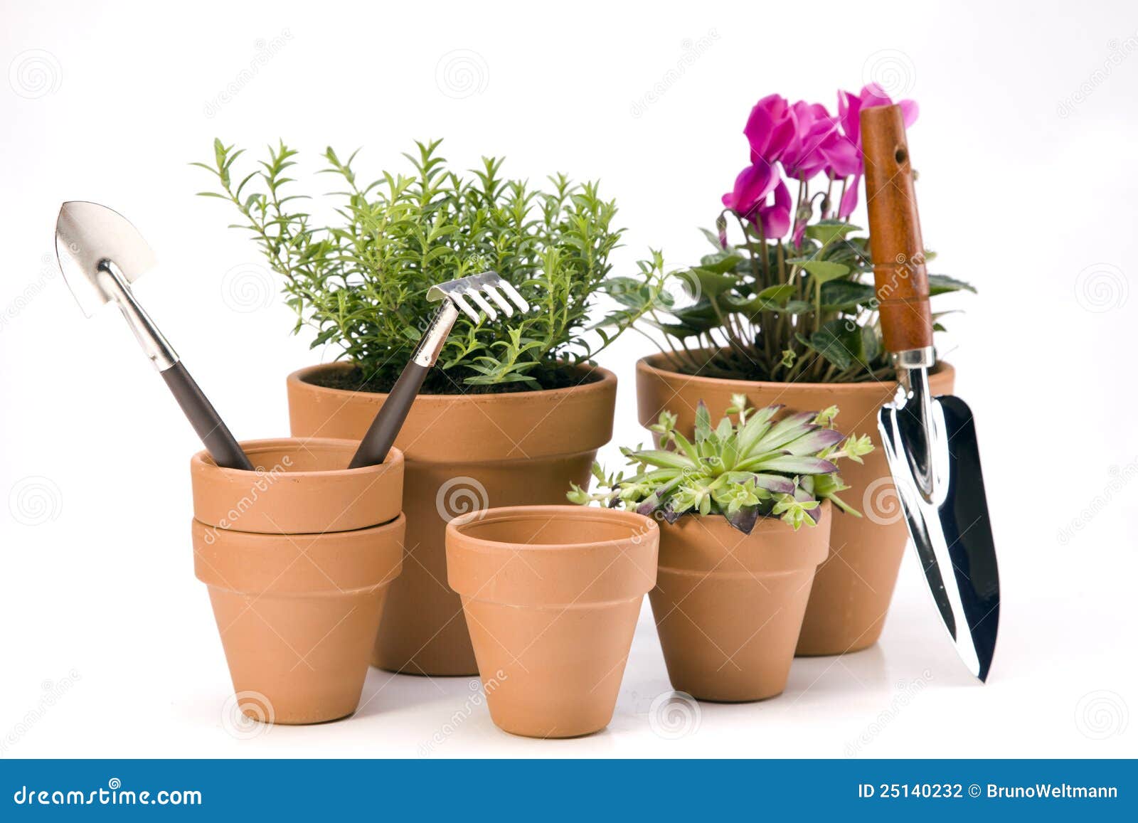 Gardening Concept Isolated on White Background Stock Photo - Image of ...
