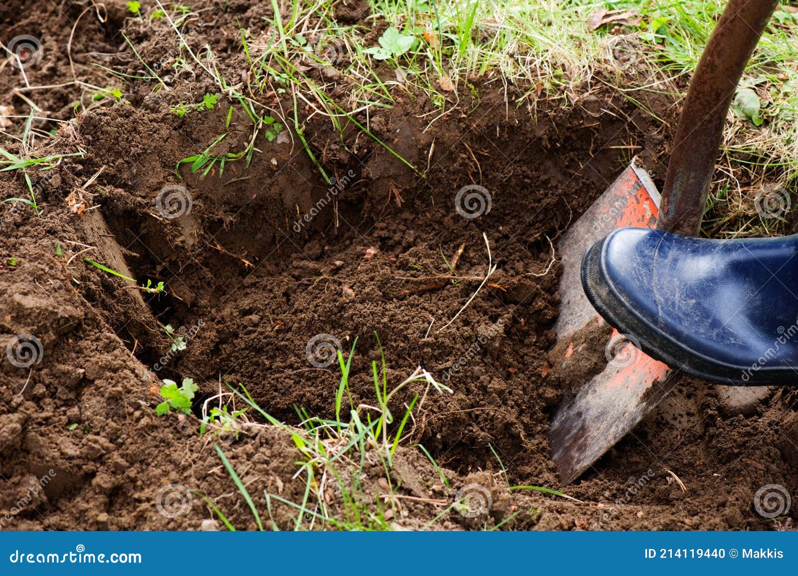 Gardening, Digging Ground with a Shovel Stock Photo - Image of grass ...