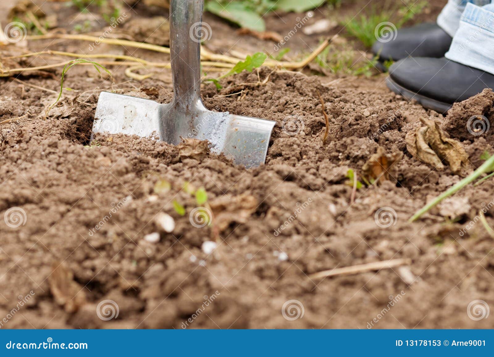 Gardening - Digging Over the Soil Stock Image - Image of people, woman ...