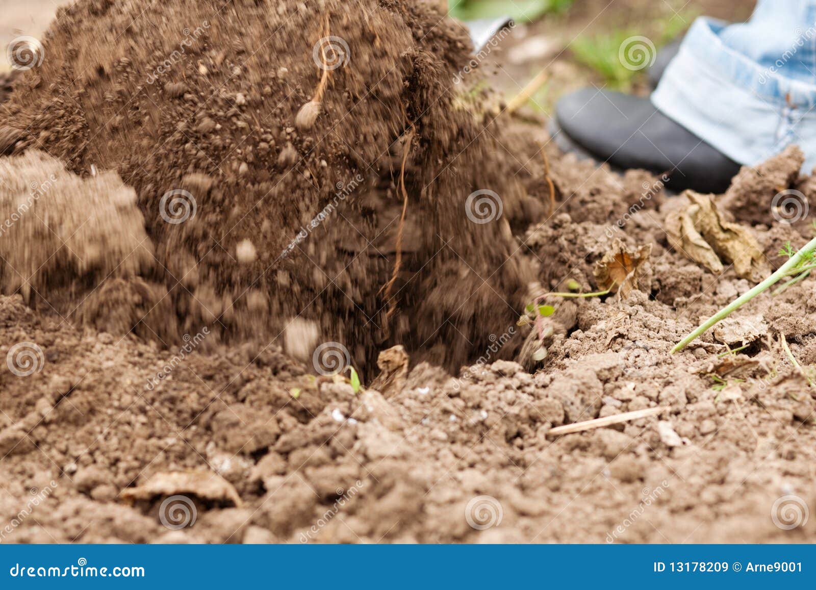 Gardening - Digging Over the Soil Stock Image - Image of spade ...
