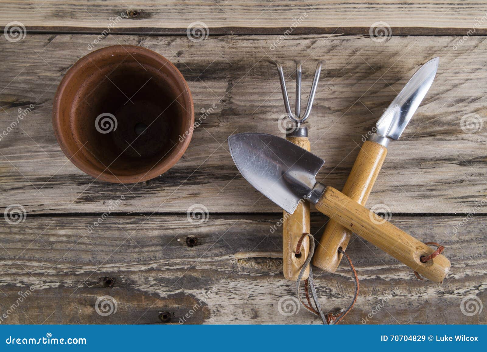 Gardening Flower Pot with Tools Stock Image - Image of season ...