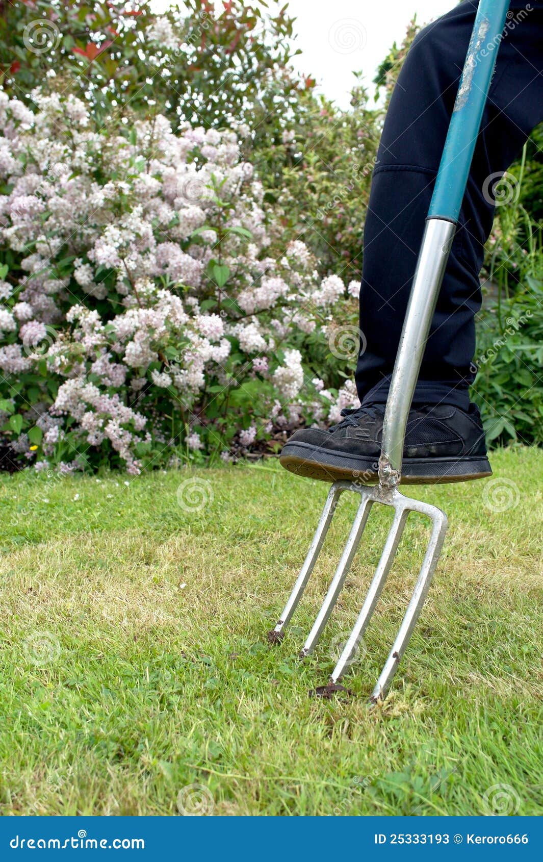 Gardening fork stock image. Image of fork, equipment - 25333193