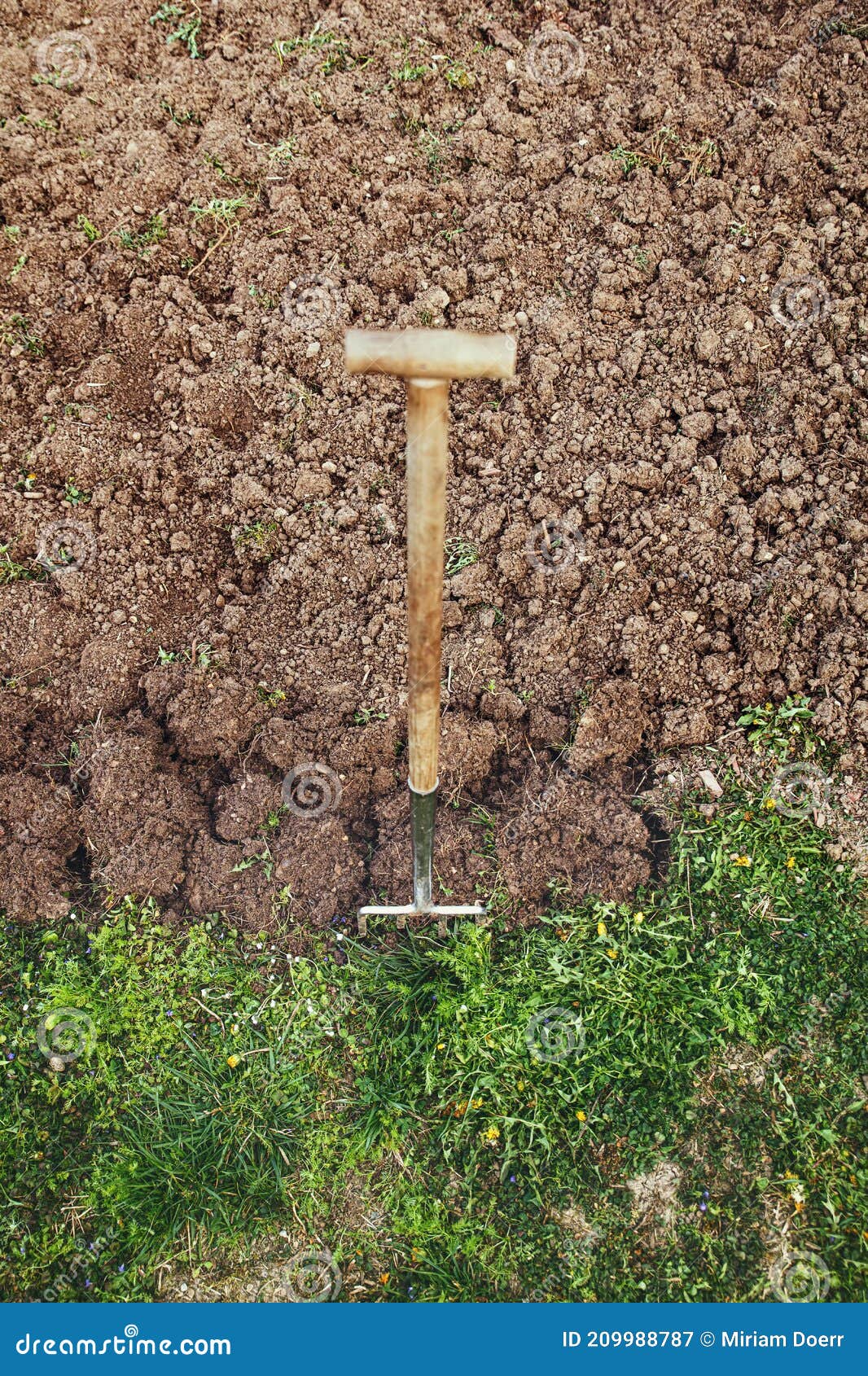 A Gardening Fork, Sticking in the Ground Stock Image - Image of fork ...