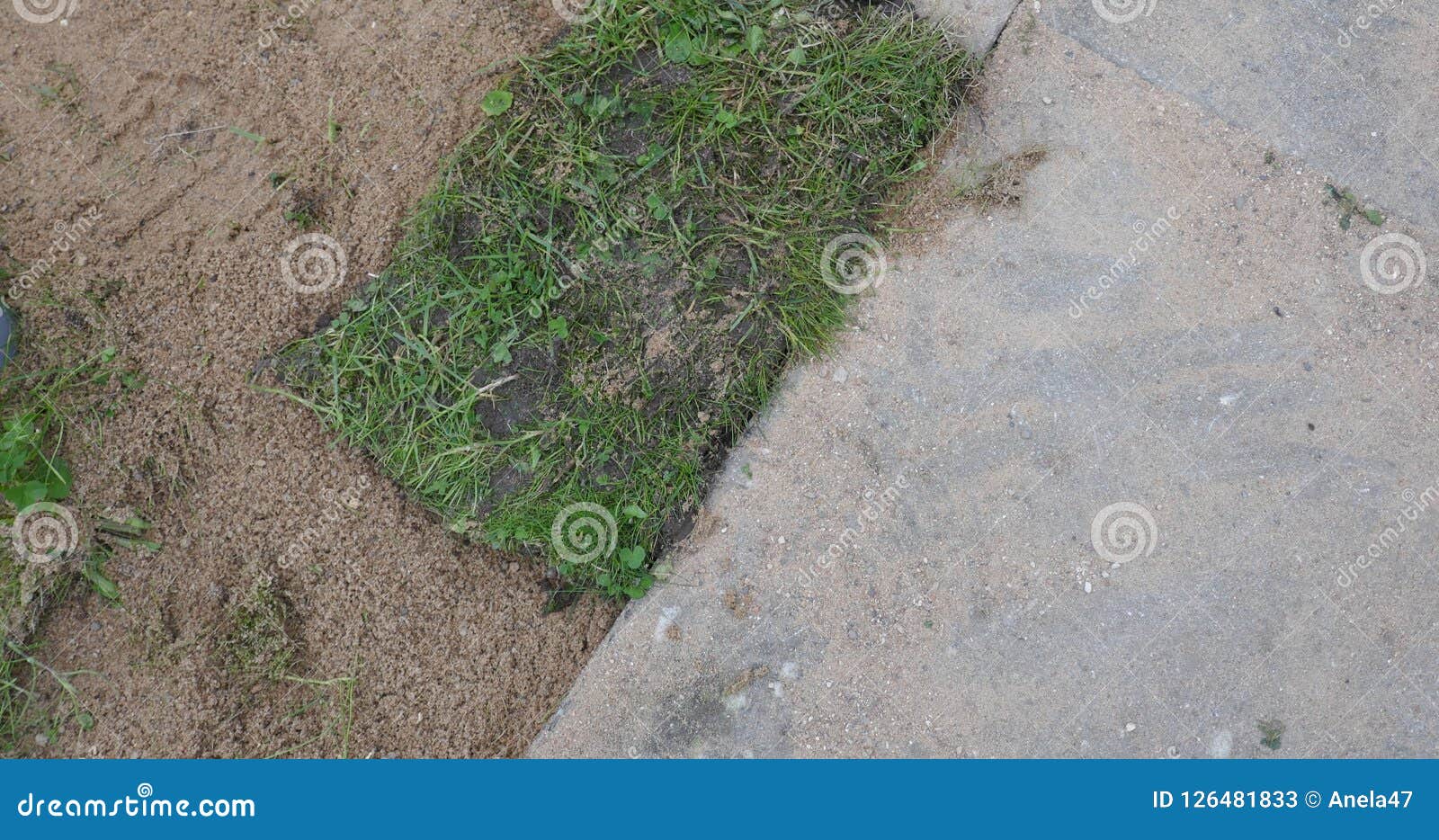 Gardening, Grass Pieces, Grass Sods Transplant Stock Image - Image of ...