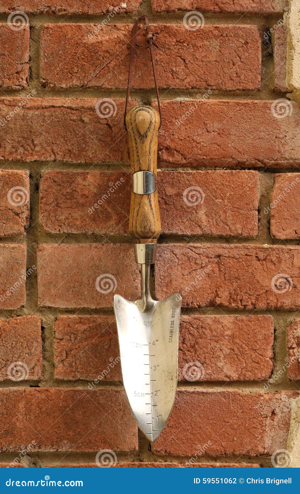 Gardening hand trowel stock photo. Image of hand, tool - 59551062