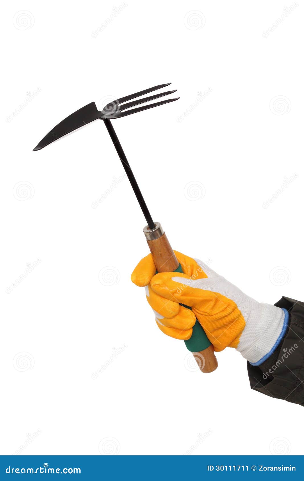 Agriculture stock image. Image of white, closeup, isolated - 30111711