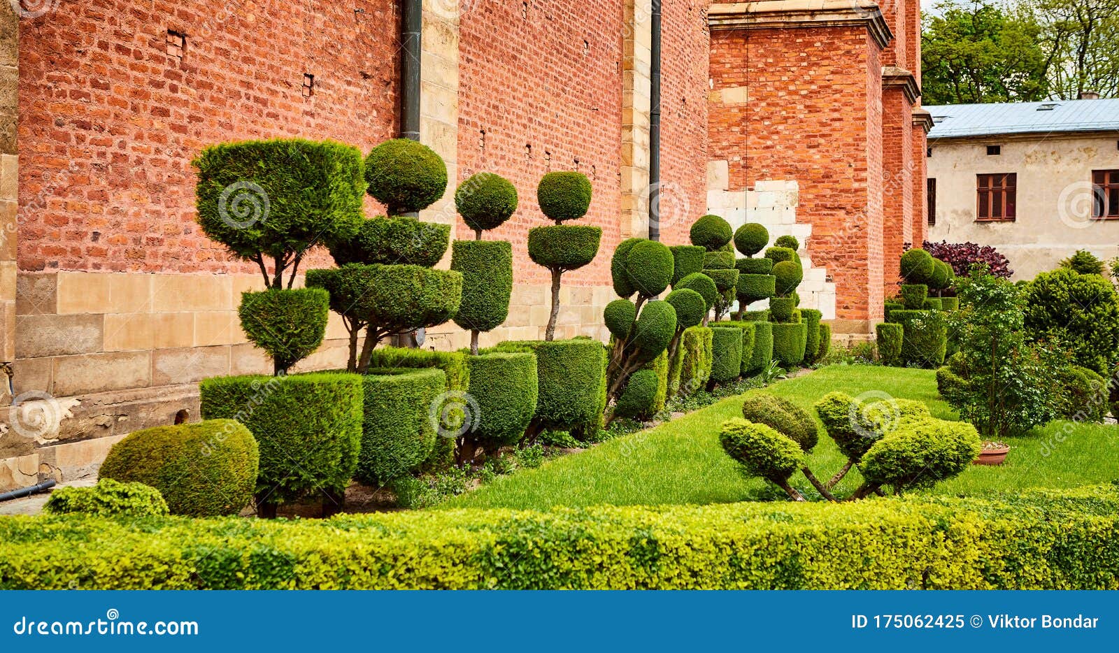 Gardening and Landscaping with Decorative Trees and Plants Stock Image ...