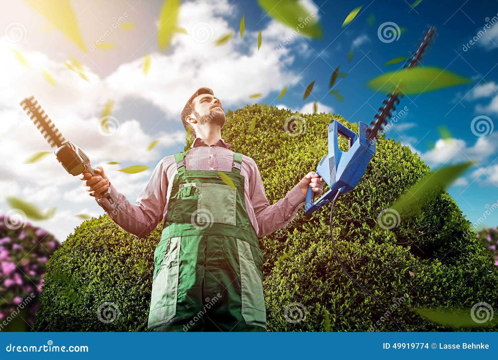 Gardening Master stock photo. Image of gardening, hedge - 49919774
