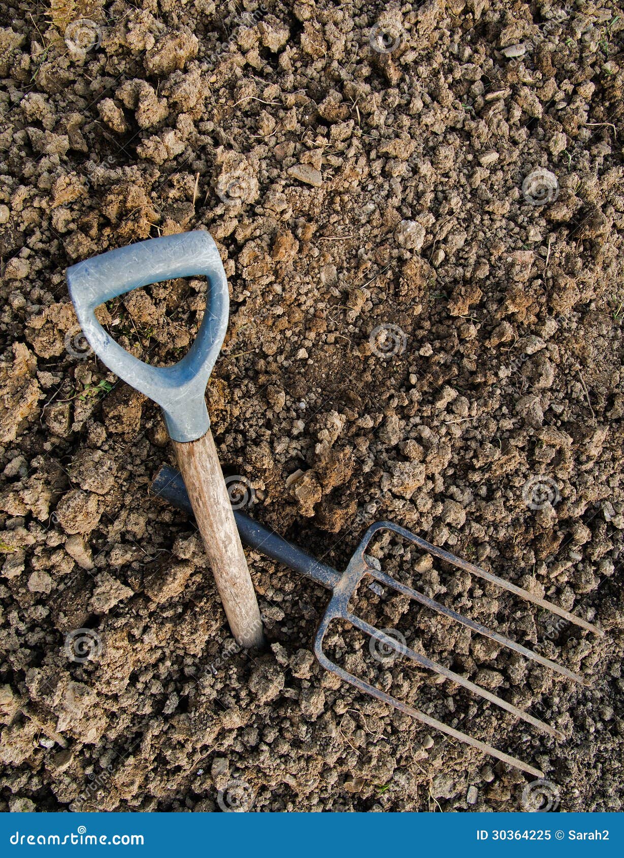 Broken Fork Stock Photo | CartoonDealer.com #30123234