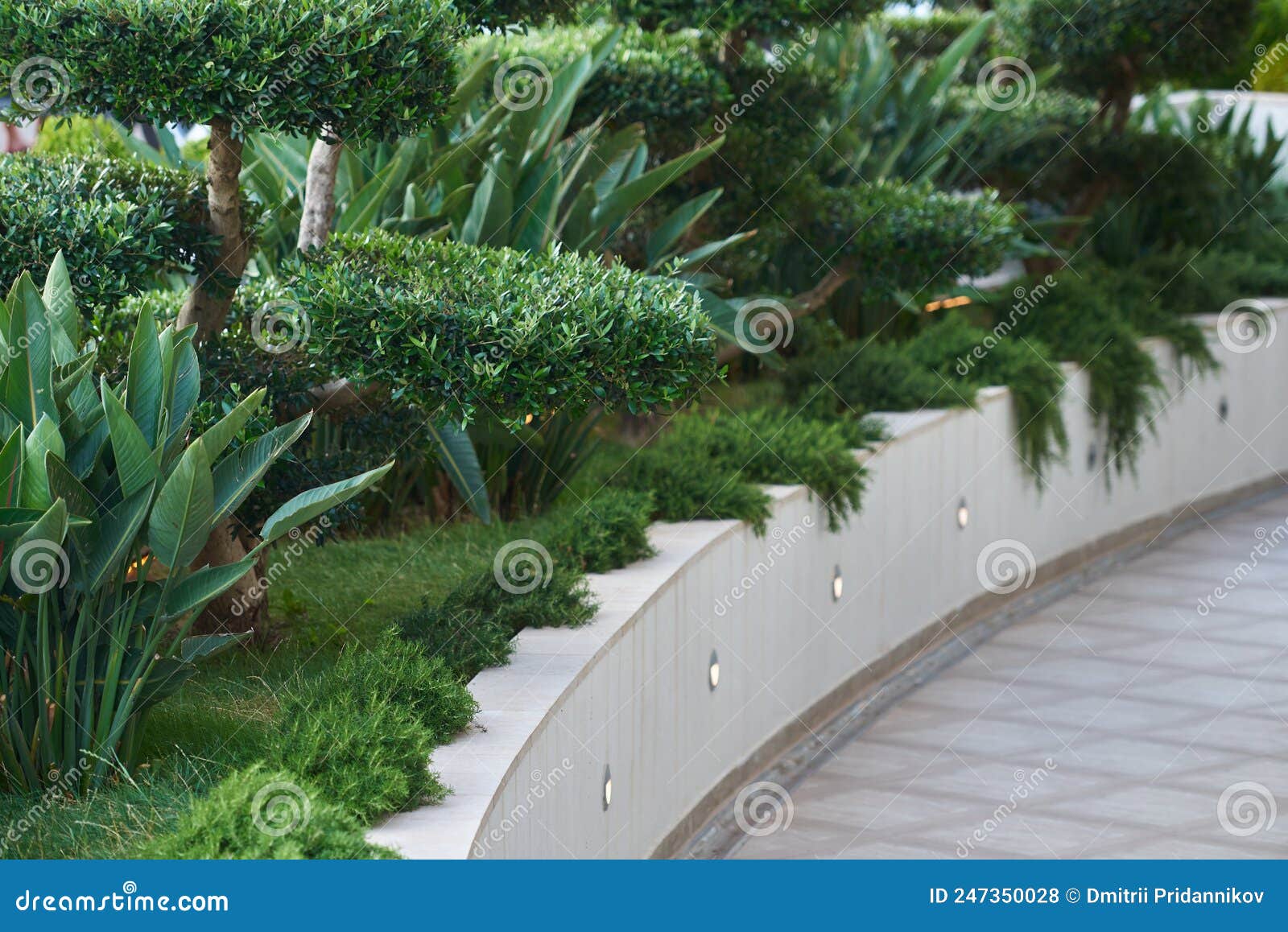 Gardening with Ornamental Shrubs for Landscape Design Stock Photo ...