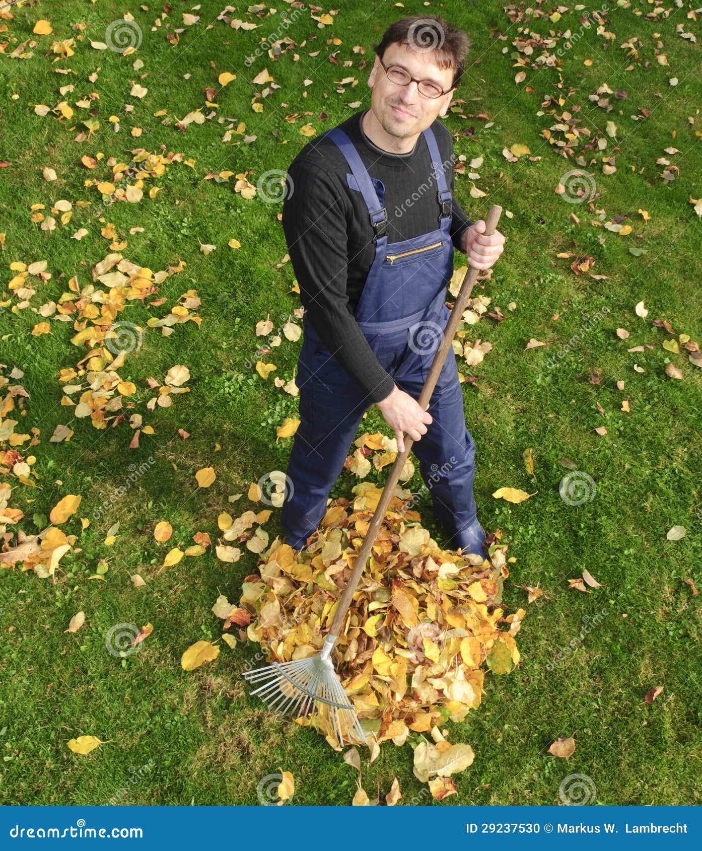 Gardening, Raking Leaves in the Fall Stock Photo - Image of pick, pile ...