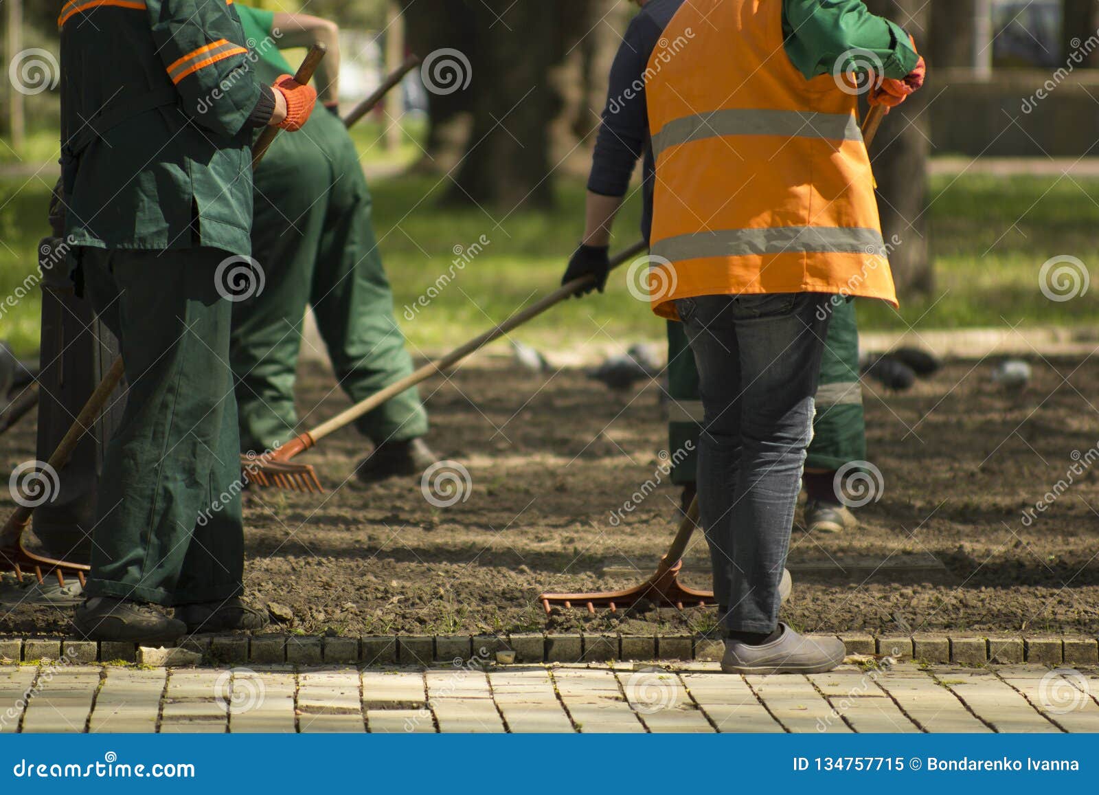 Gardening Service Workers Preparing Ground in Park with Garden Tools ...