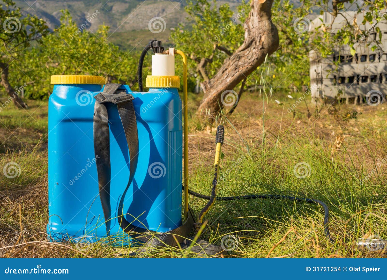 Gardening sprayer stock photo. Image of plantation, equipment - 31721254