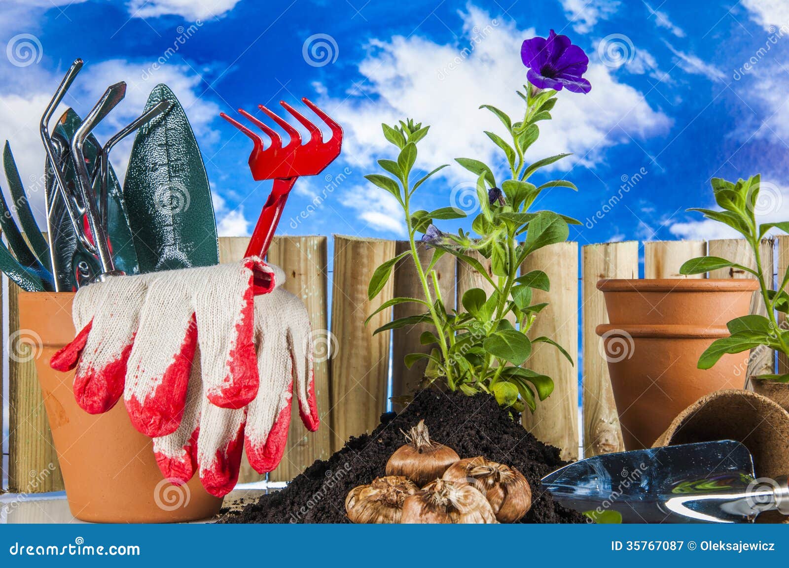 Gardening Stuff with Blue Sky Background Stock Image - Image of ...
