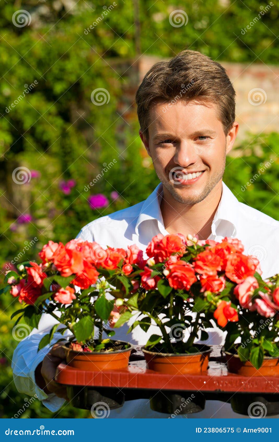 Gardening in Summer - Man with Flowers Stock Image - Image of beautiful ...