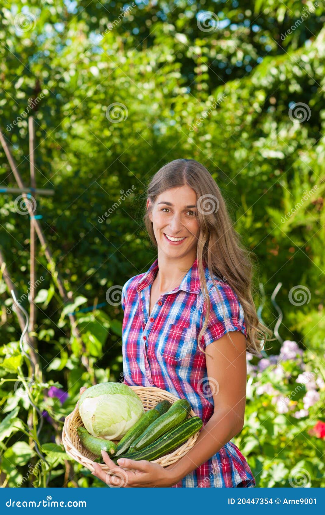 Gardening in Summer - Woman with Vegetables Stock Photo - Image of ...