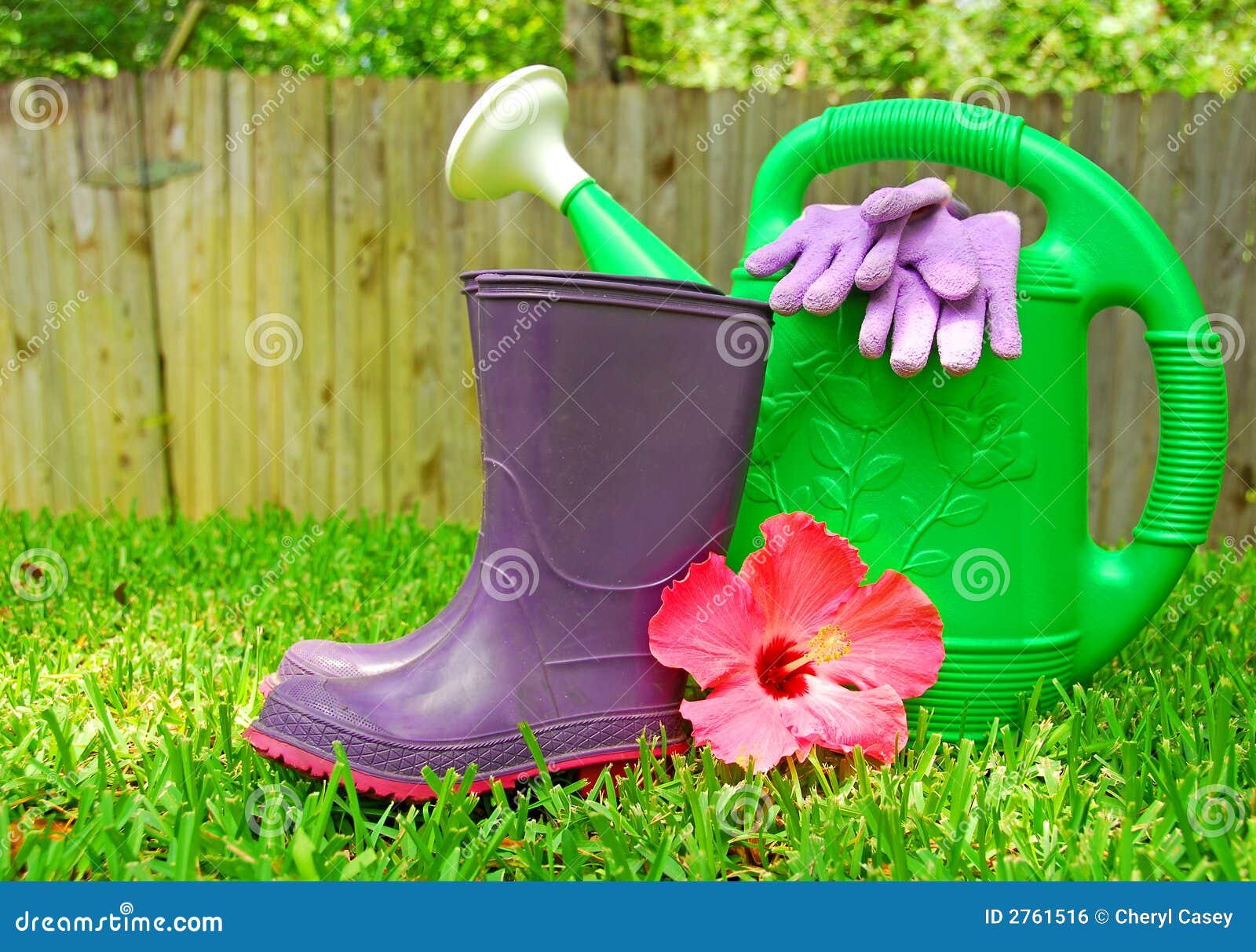 Gardening Supplies stock photo. Image of pail, outside - 2761516