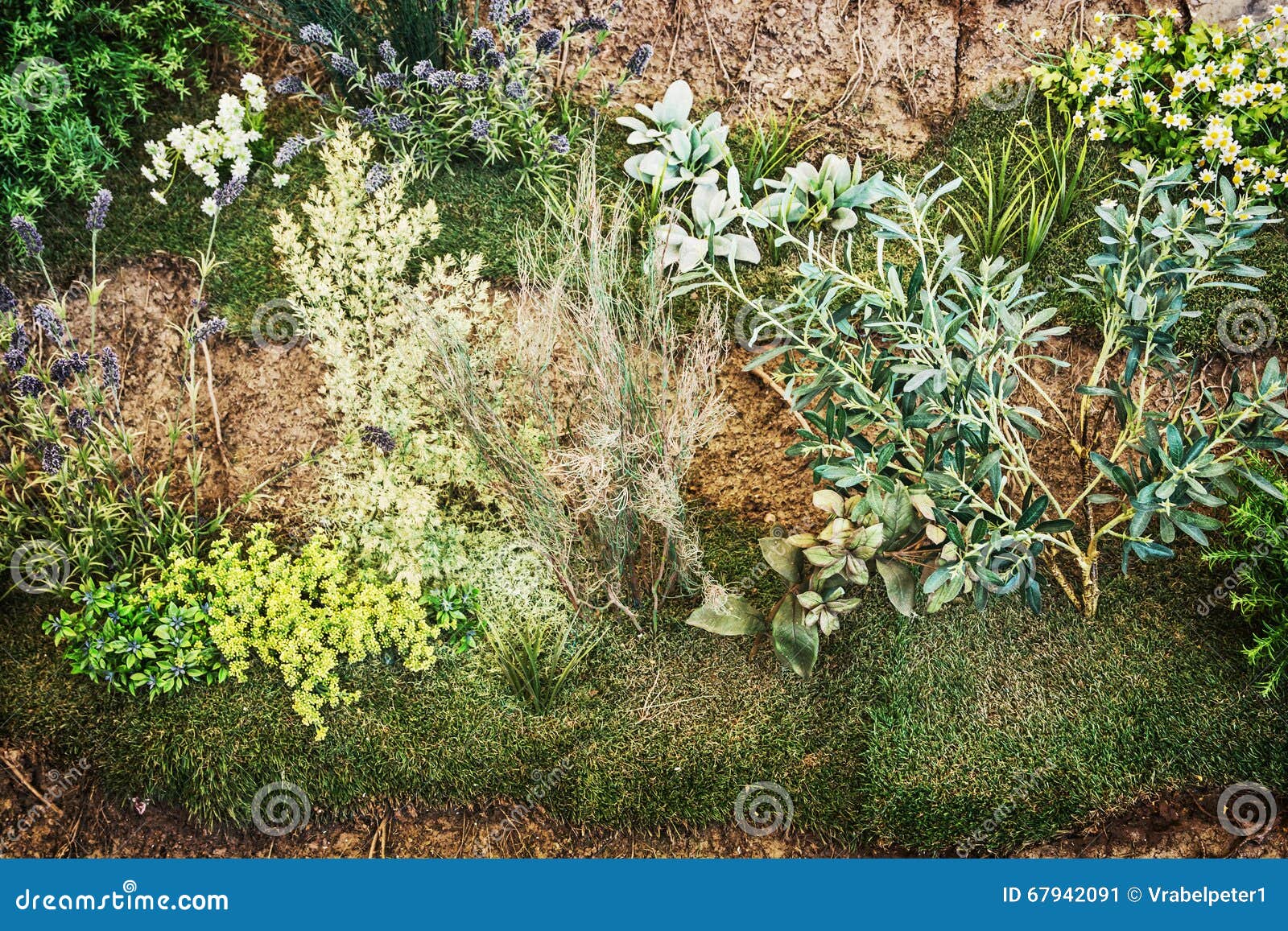 Gardening Theme, Natural Scene, Greenery Stock Image - Image of ...