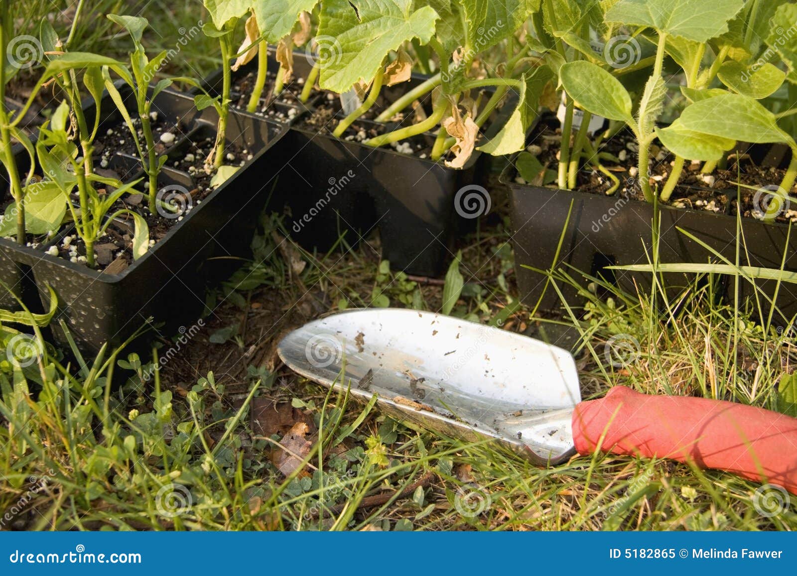 1,071 Squash Tool Stock Photos - Free & Royalty-Free Stock Photos from ...