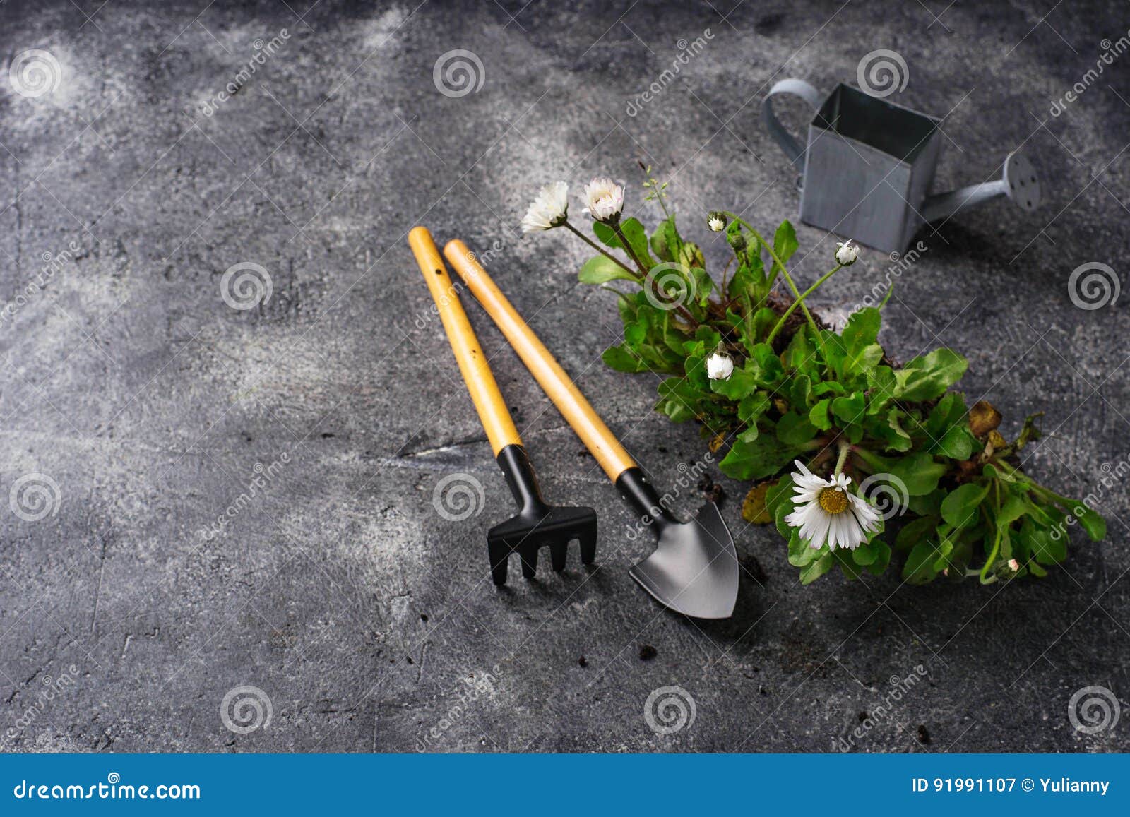 Gardening tools and flower stock image. Image of plants - 91991107