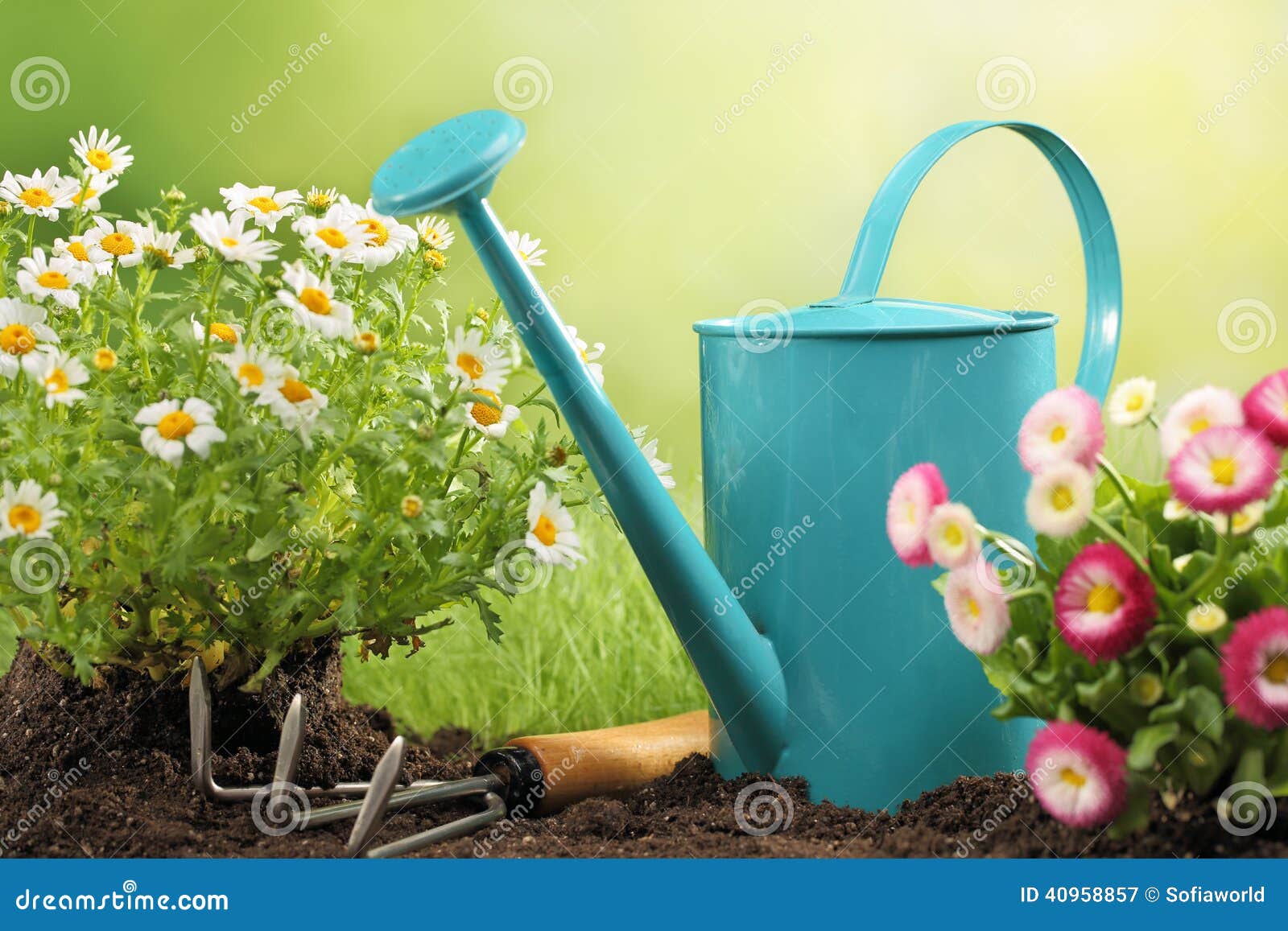 Gardening tools and flower stock image. Image of garden - 40958857