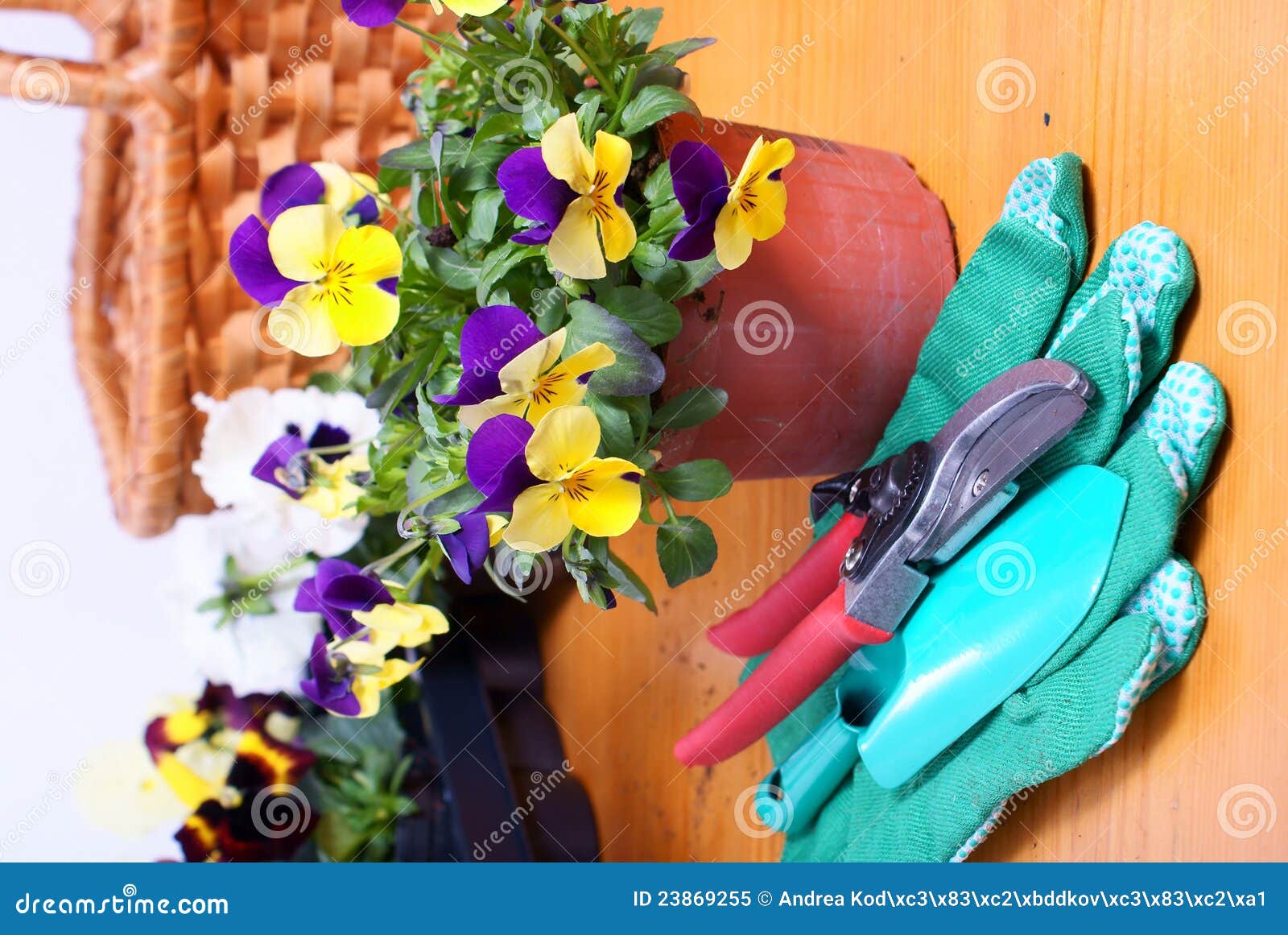 Gardening Tools with Flowers Stock Image - Image of hobby, herbal: 23869255