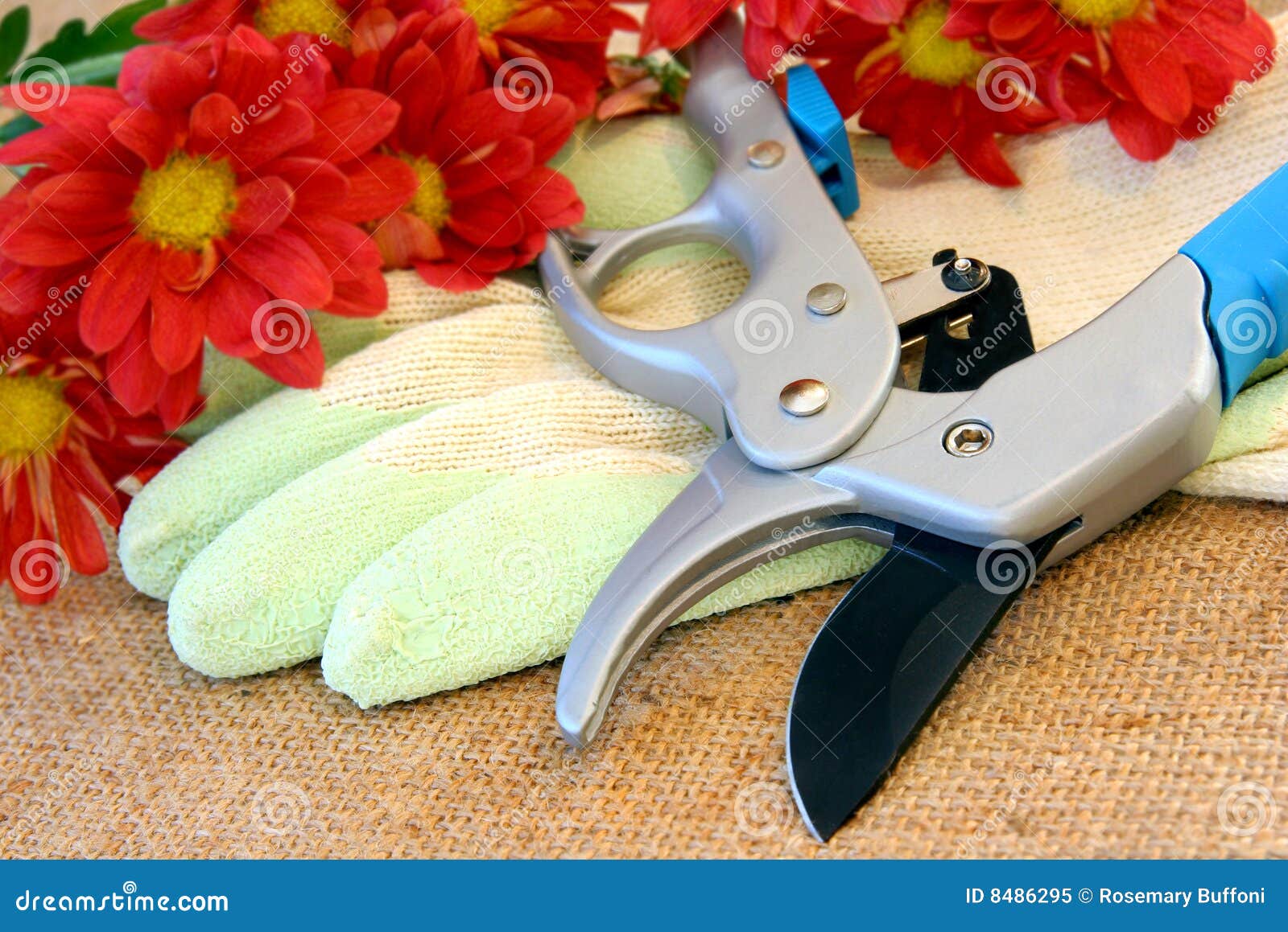 Gardening Tools and Flowers Stock Image - Image of work, close: 8486295