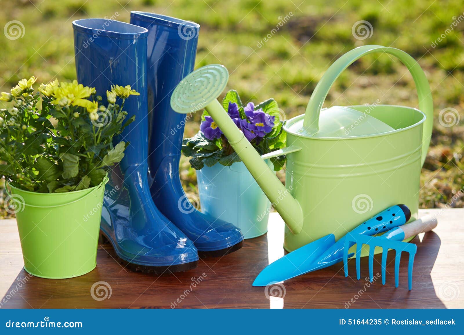 Gardening Tools and Flowers Stock Image - Image of flower, gardening ...