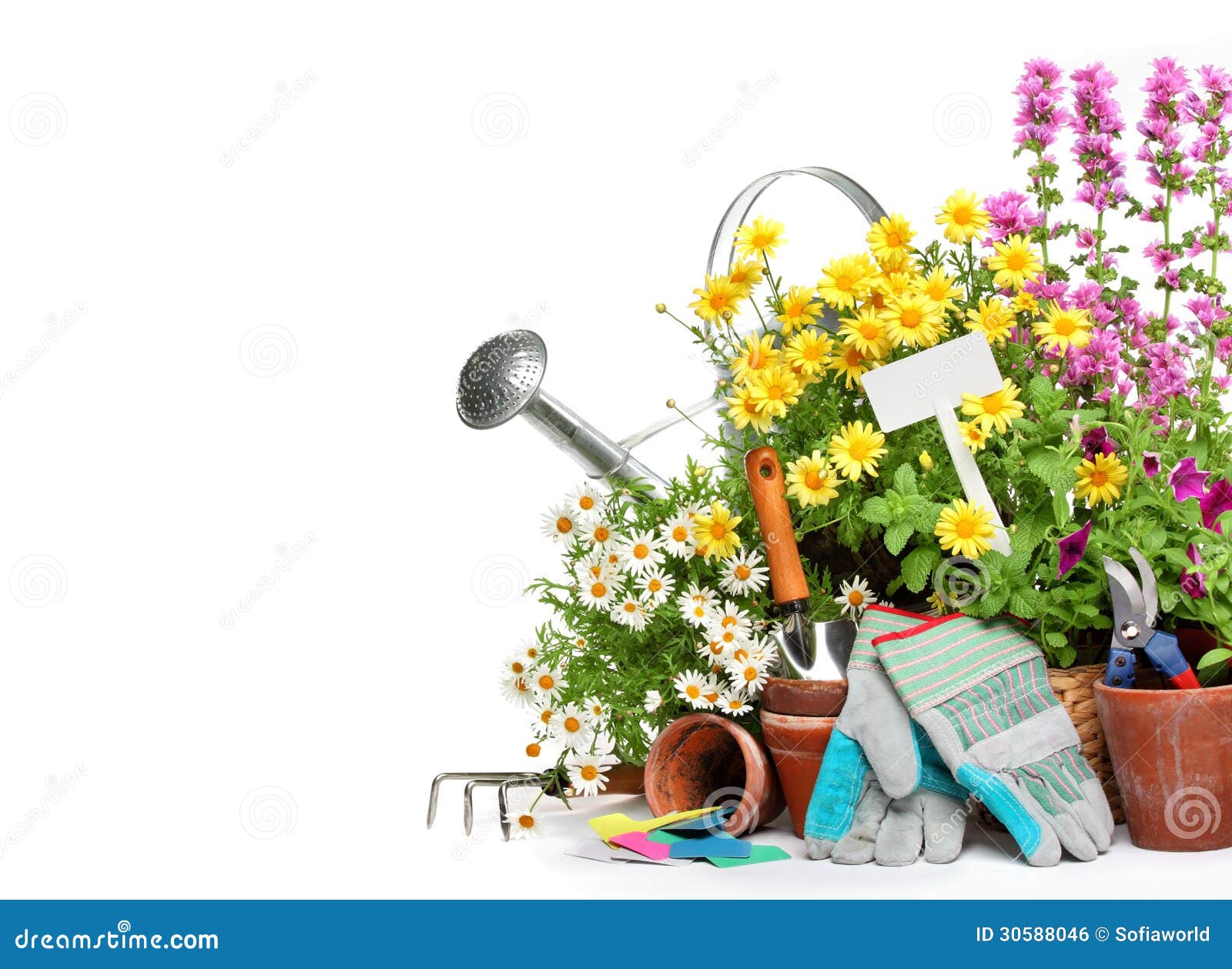 Gardening Tools and Flowers Stock Photo - Image of planting, isolated ...