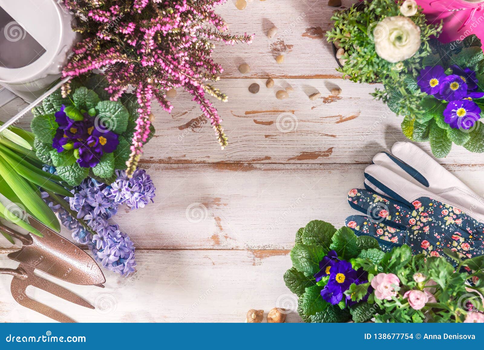 Gardening Tools and Flowers in the Pots Stock Photo - Image of land ...