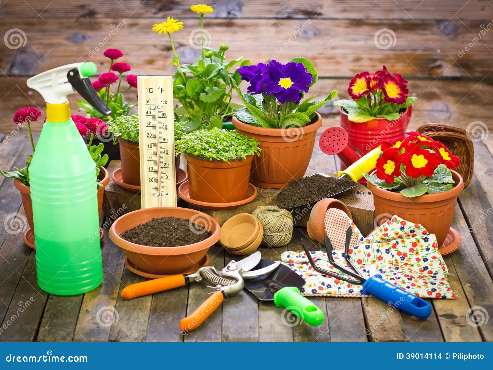 Gardening Tools and Flowers Stock Photo - Image of planting, pruning ...