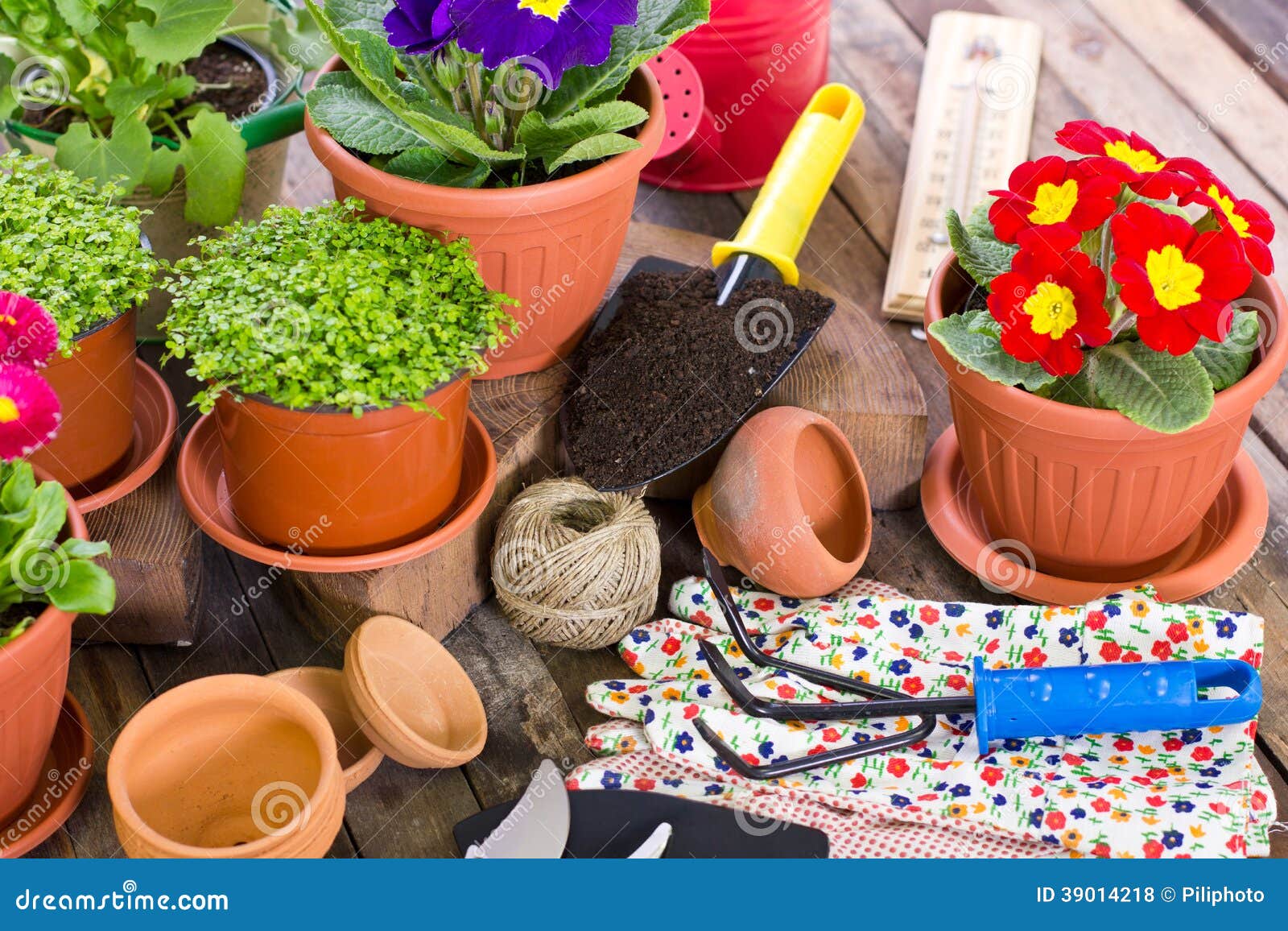 Gardening Tools and Flowers Stock Photo - Image of botanical, gardening ...