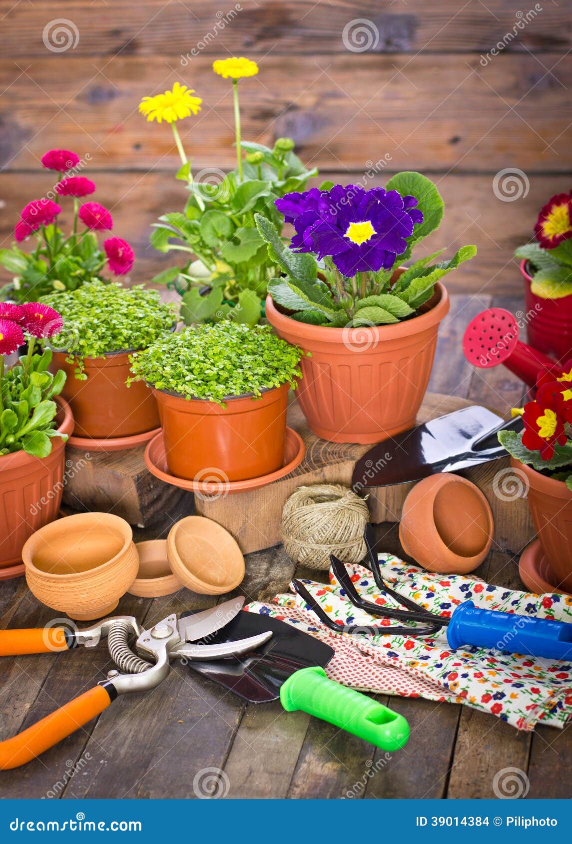 Gardening Tools and Flowers Stock Photo - Image of planting, flower ...