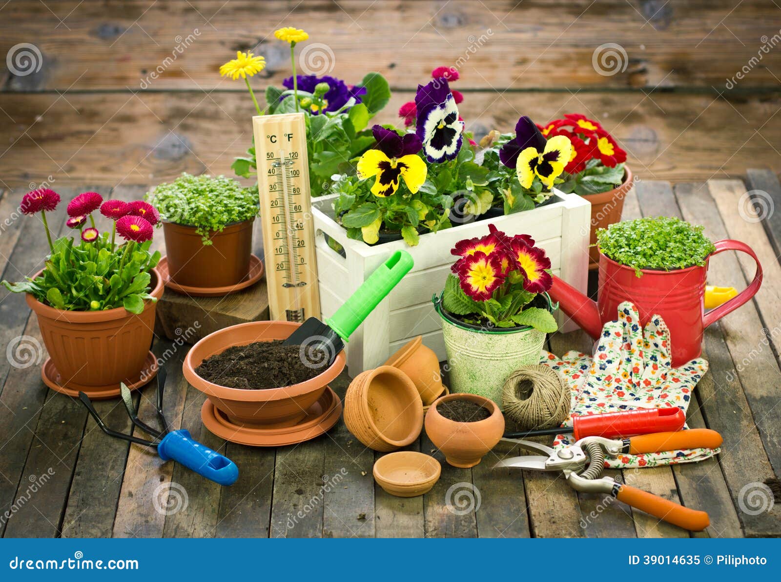 Gardening Tools and Flowers Stock Image - Image of glove, botany: 39014635