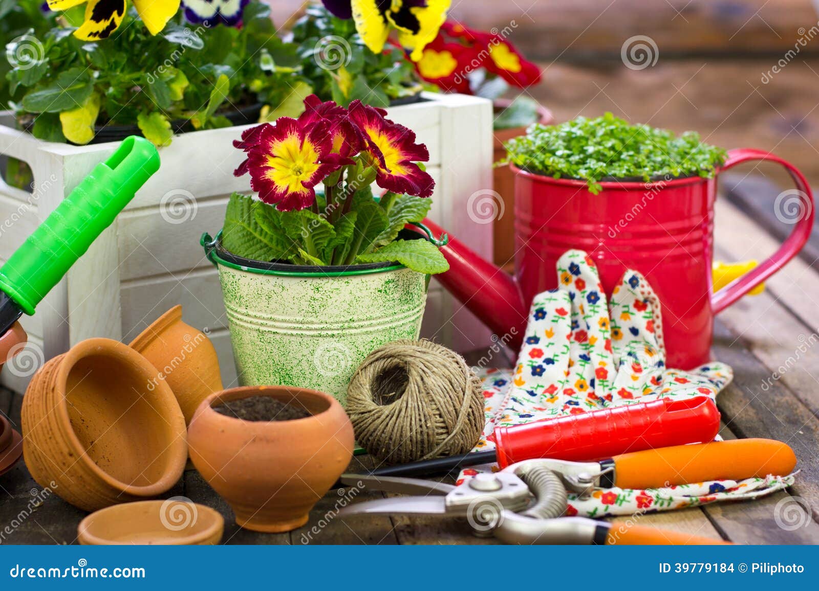 Gardening Tools and Flowers Stock Photo - Image of pruning, botanical ...