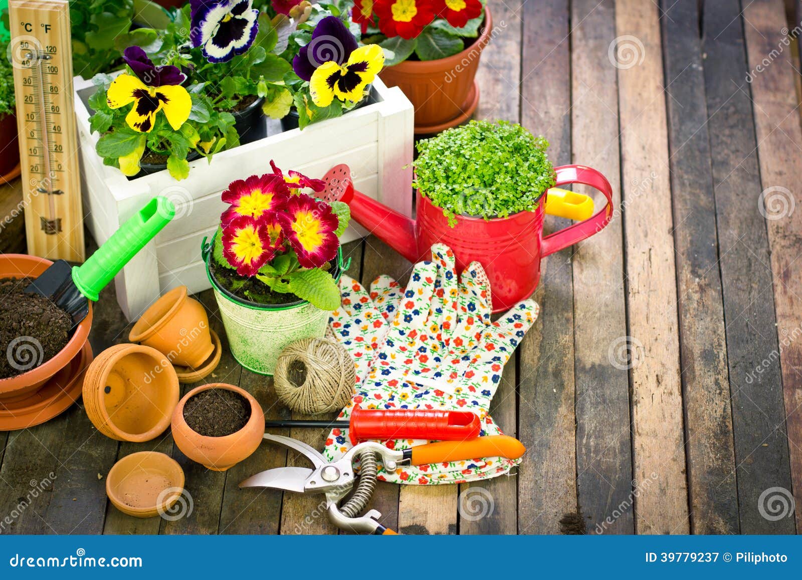 Gardening Tools and Flowers Stock Image - Image of floral, housekeeping ...