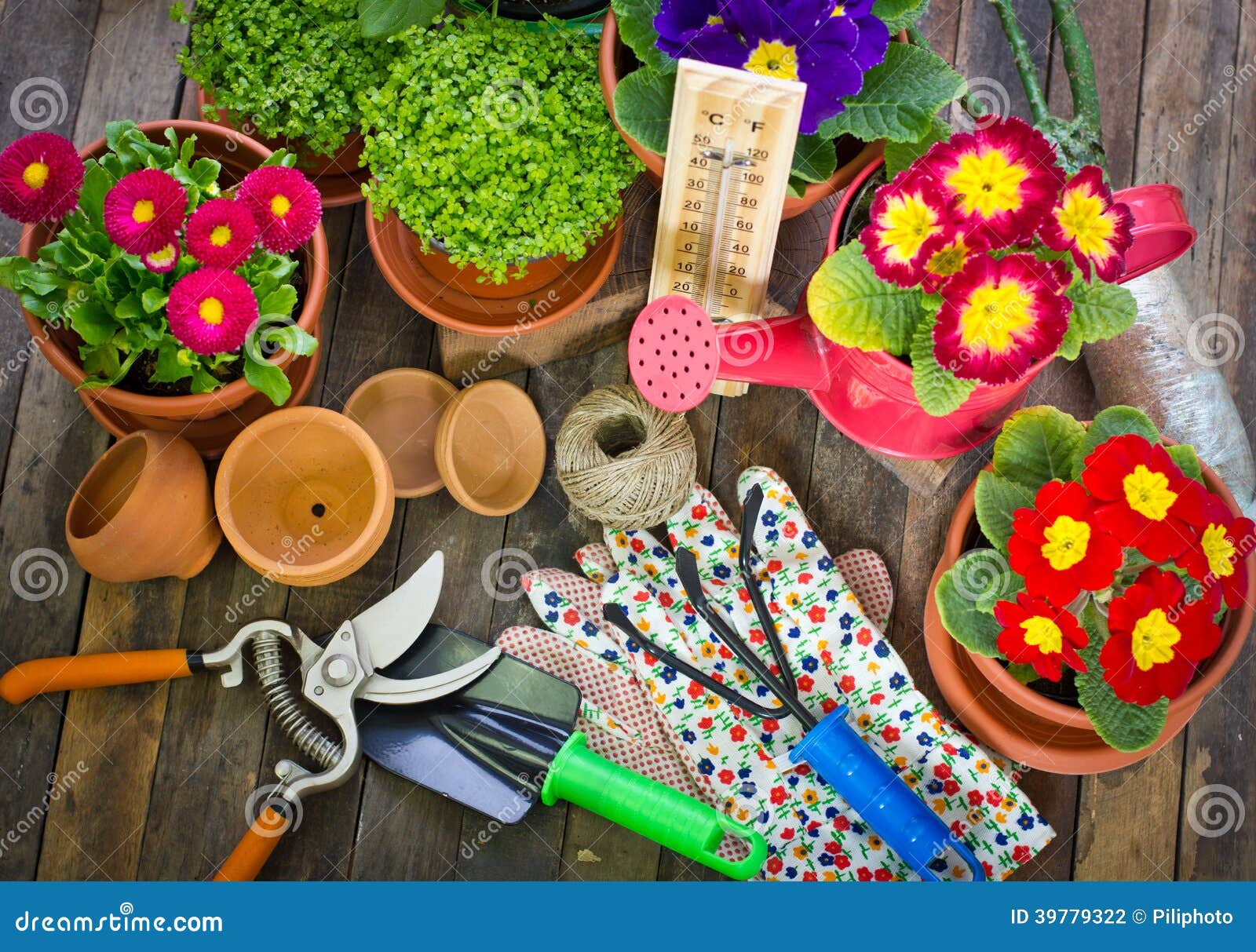 Gardening Tools and Flowers Stock Photo - Image of potting, daisy: 39779322