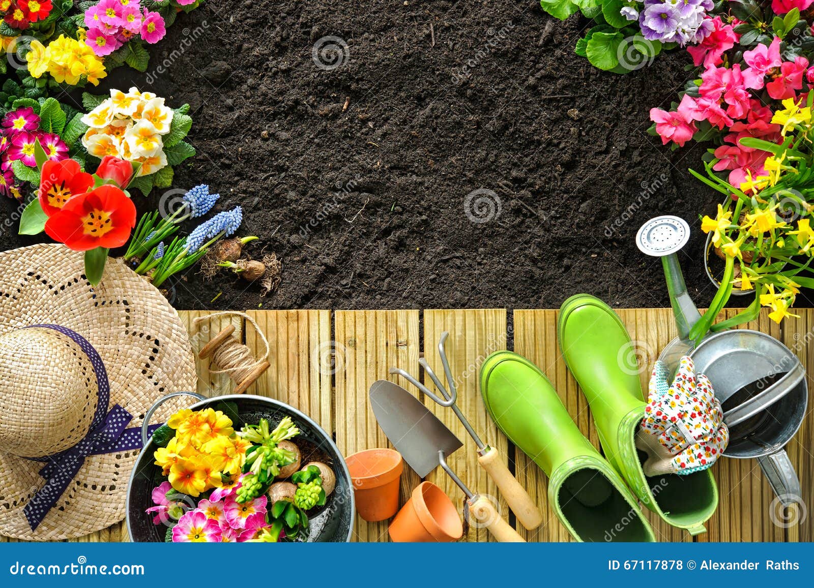 Gardening Tools and Flowers on the Terrace Stock Photo - Image of ...