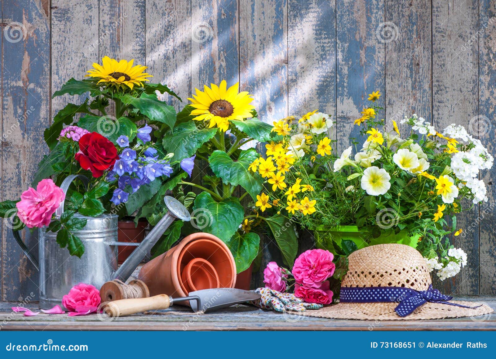 Gardening Tools and Flowers on the Terrace Stock Image - Image of ...
