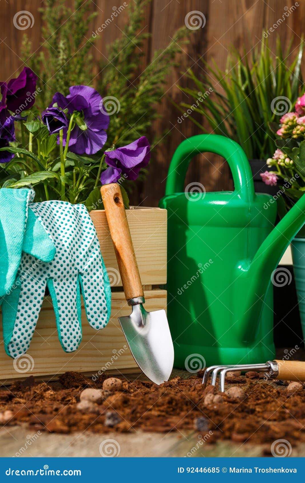 Gardening Tools and Flowers Stock Image - Image of grow, flora: 92446685