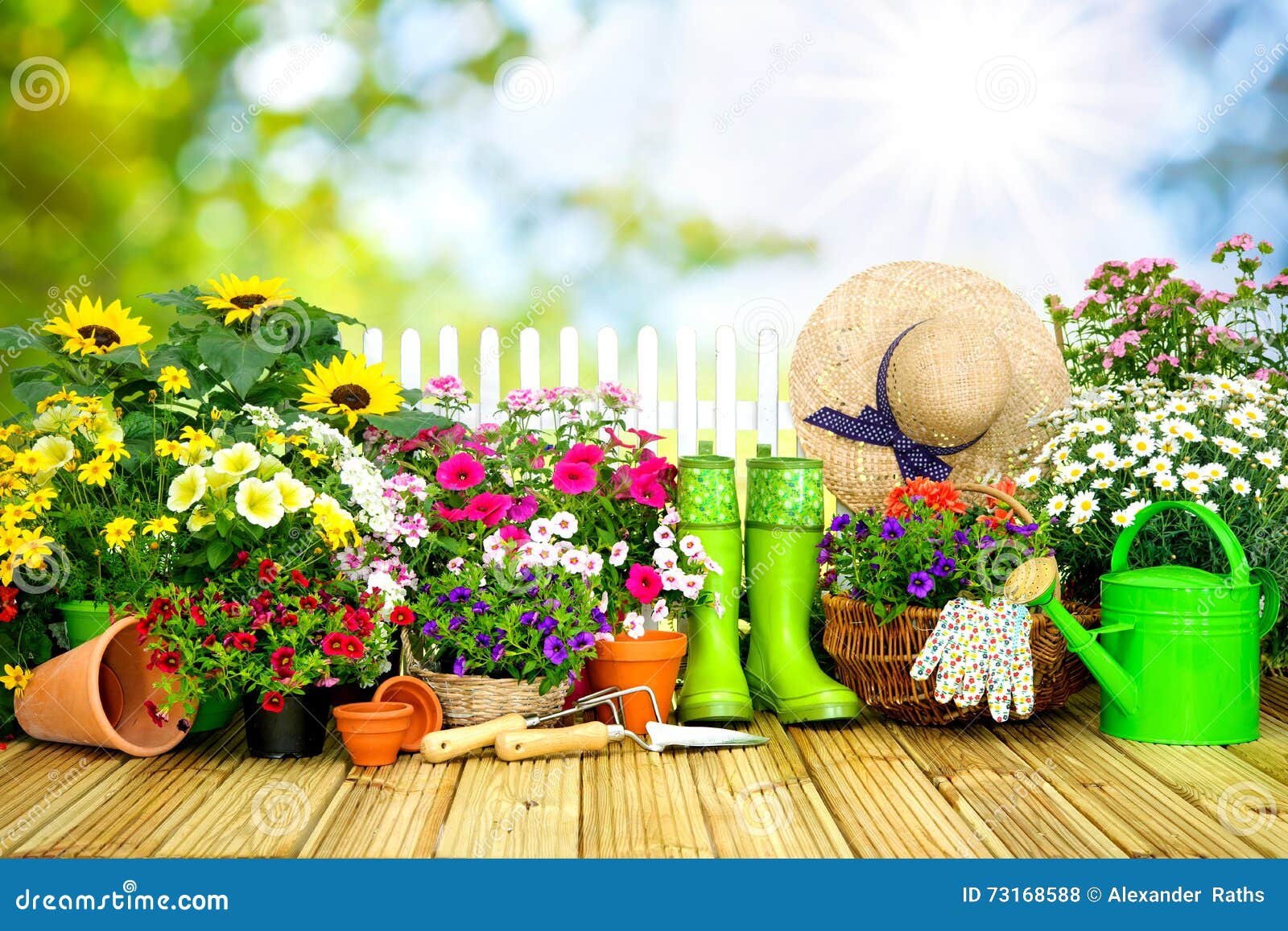 Gardening Tools and Flowers on the Terrace I Stock Photo - Image of ...