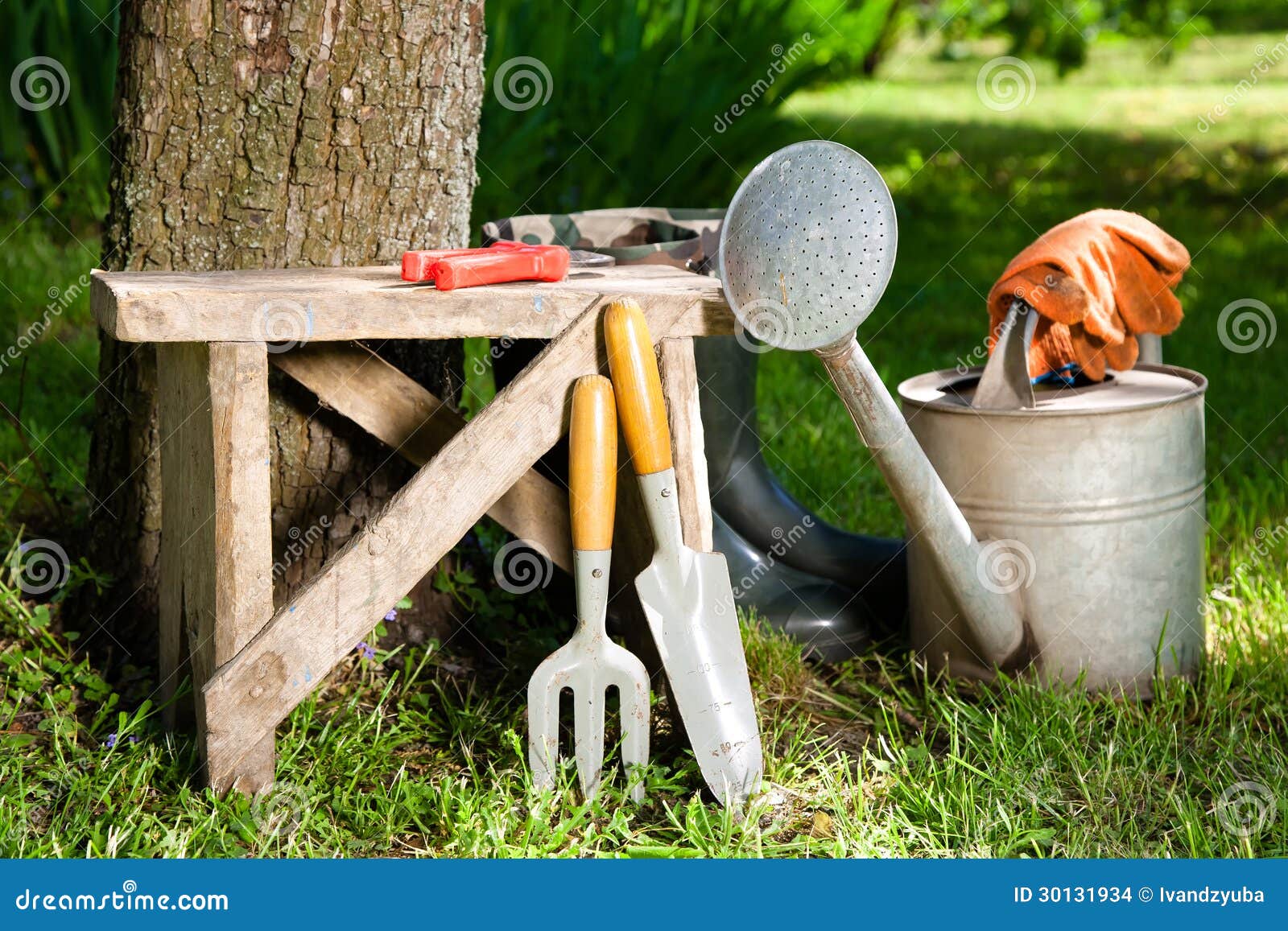 Gardening tools stock photo. Image of flora, metal, dirt - 30131934