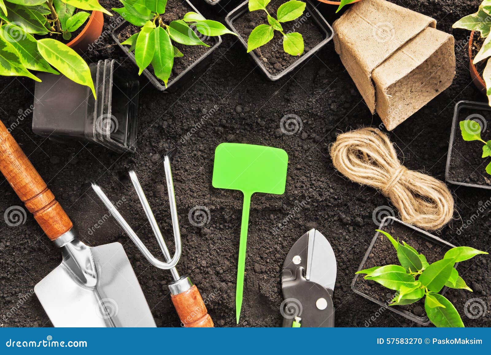 Gardening tools and plants stock photo. Image of flora - 57583270