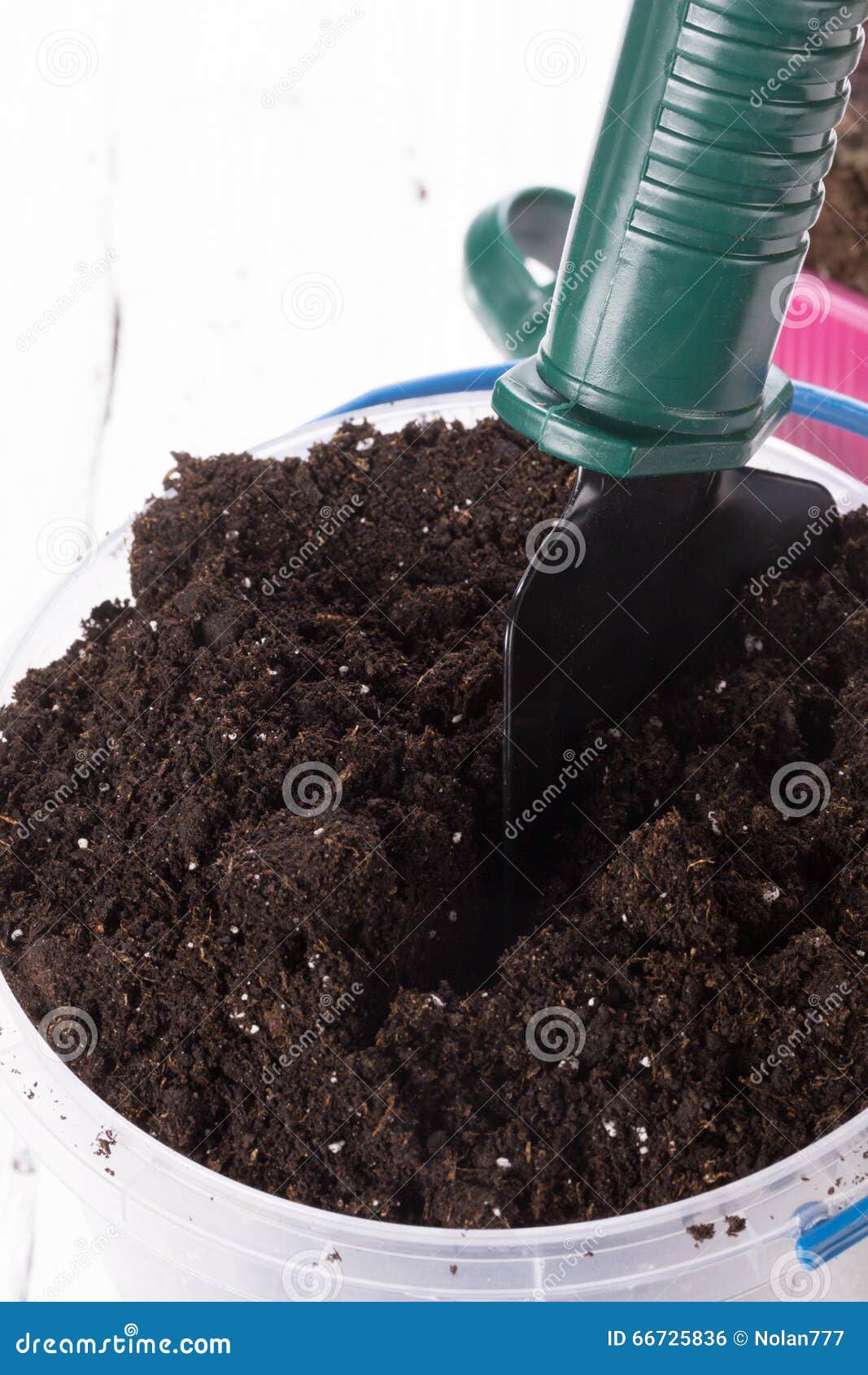 Gardening Tools, Plants and Soil Stock Photo - Image of replant, tool ...