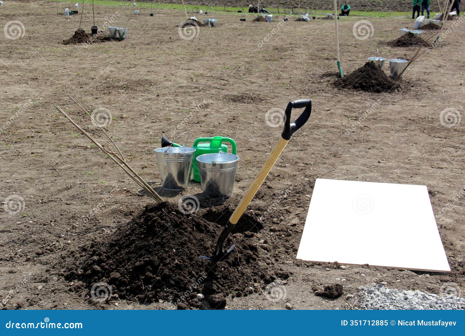 Gardening Tools and Seedlings on the Surface of the Soil. Tree Planting ...