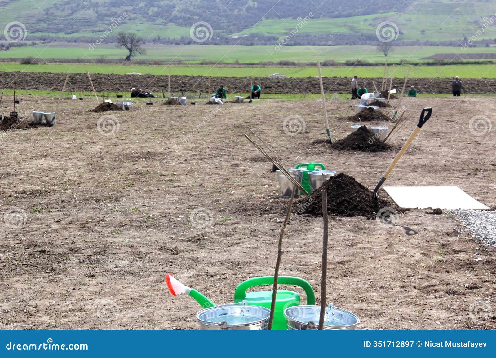 Gardening Tools and Seedlings on the Surface of the Soil. Tree Planting ...