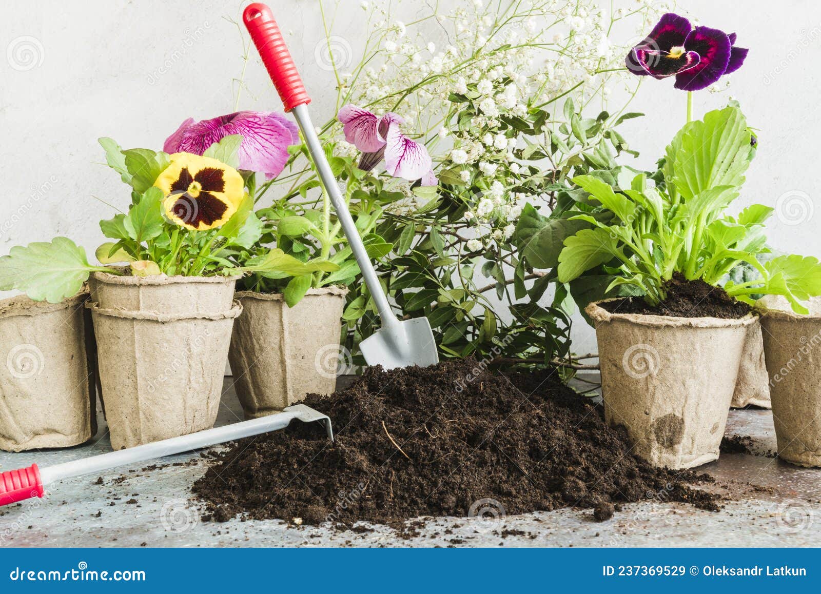 Gardening Tools Soil with Peat Potted Plants. High Quality Photo Stock Image - Image of growth ...