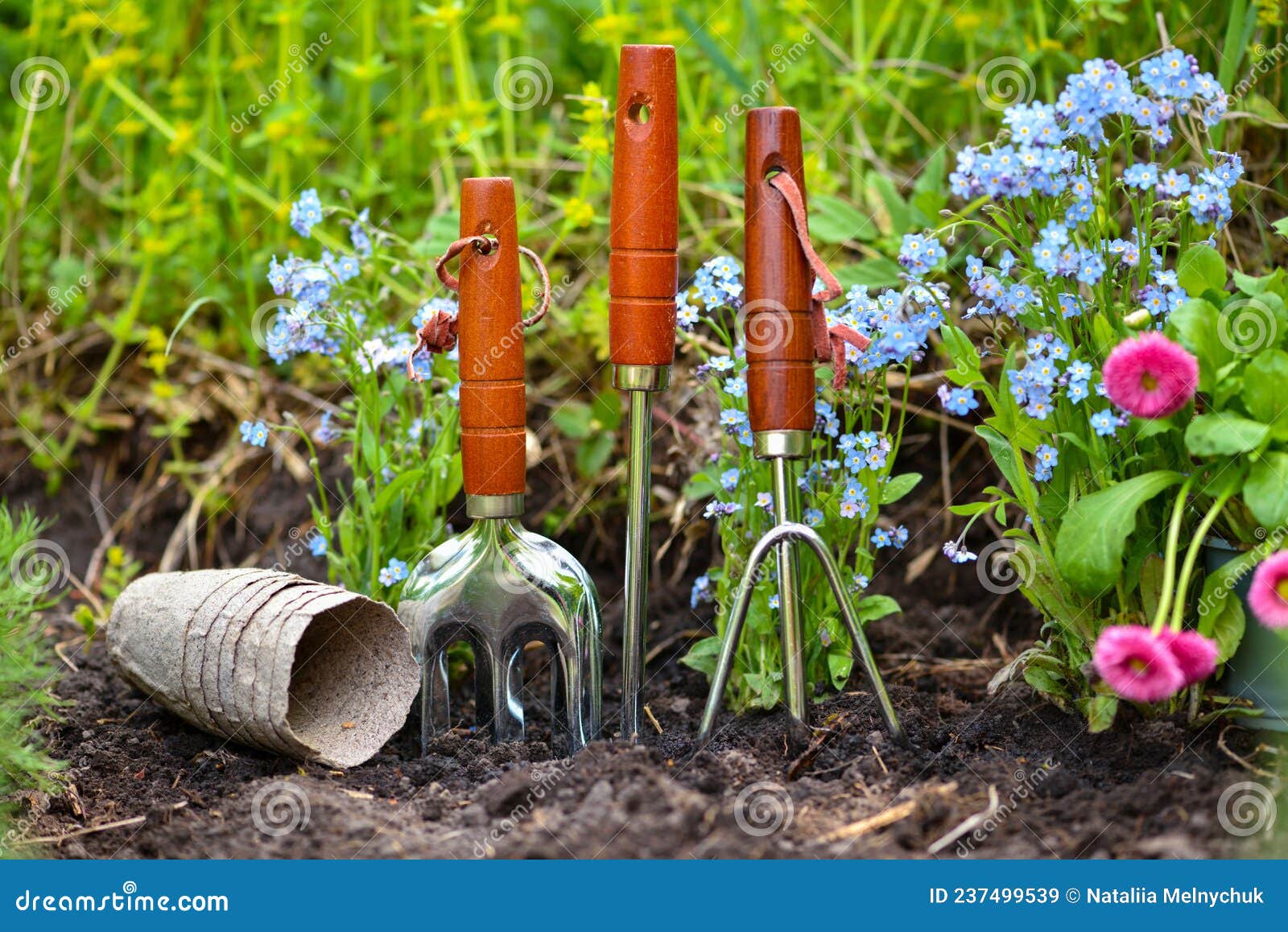 Gardening Tools and Spring Flowers in the Garden. Gardening Concept ...